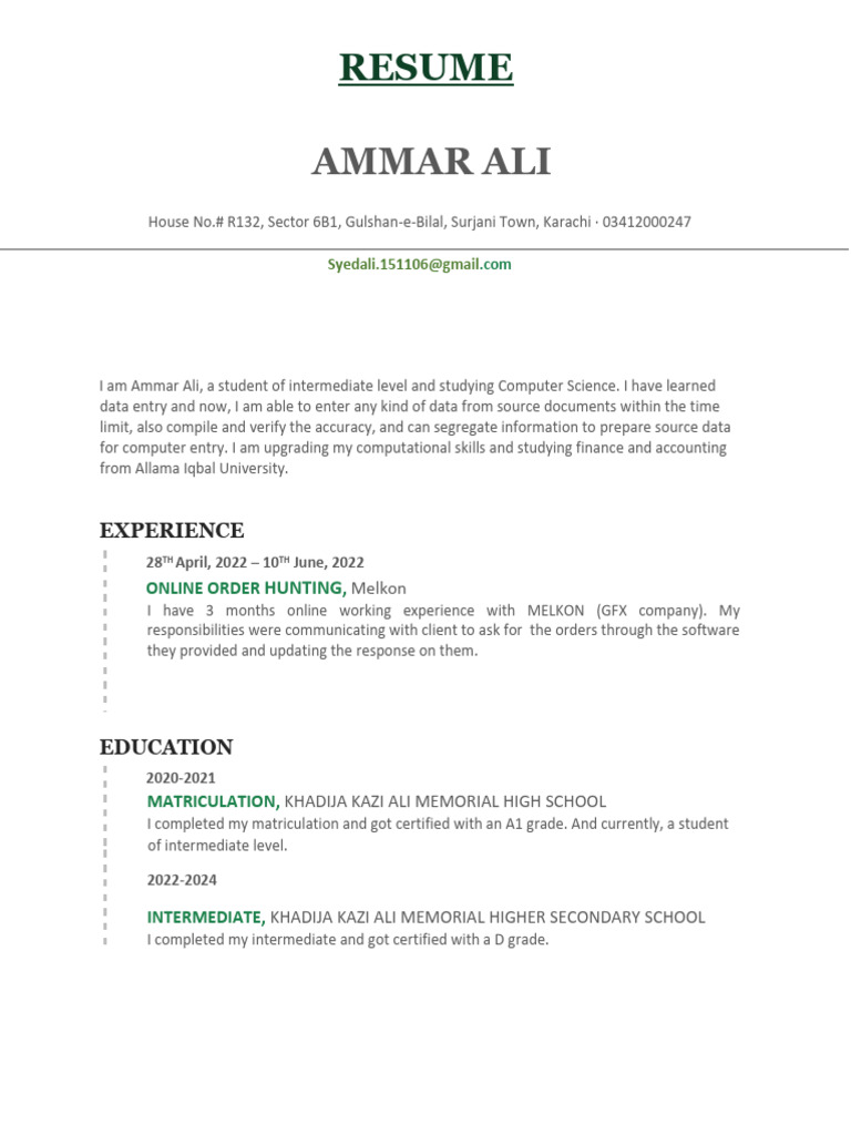 Ammar RESUME | PDF