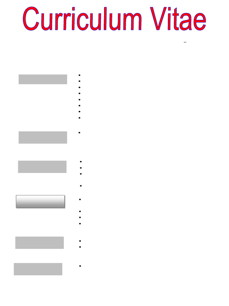 Curriculum Vitae Leandro | PDF