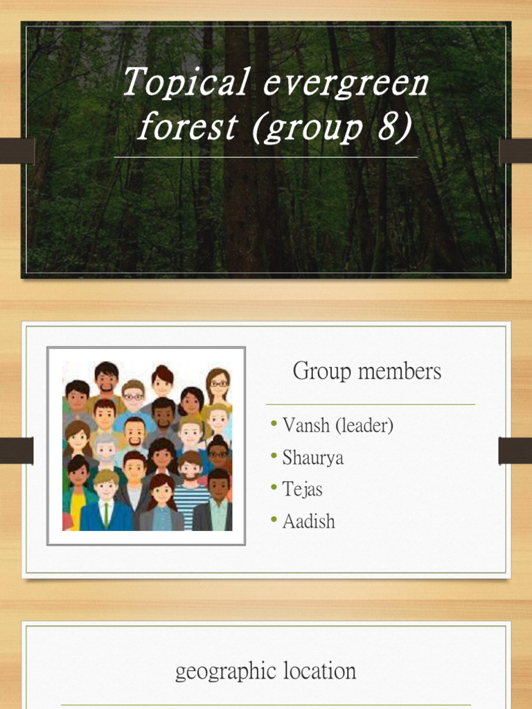 Tropical Evergreen Forests Overview | PDF