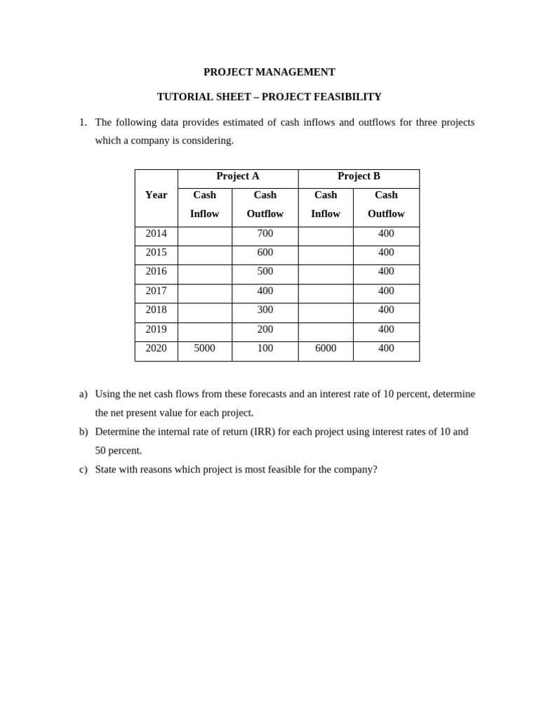 Tutorial - Project Feasibility | PDF