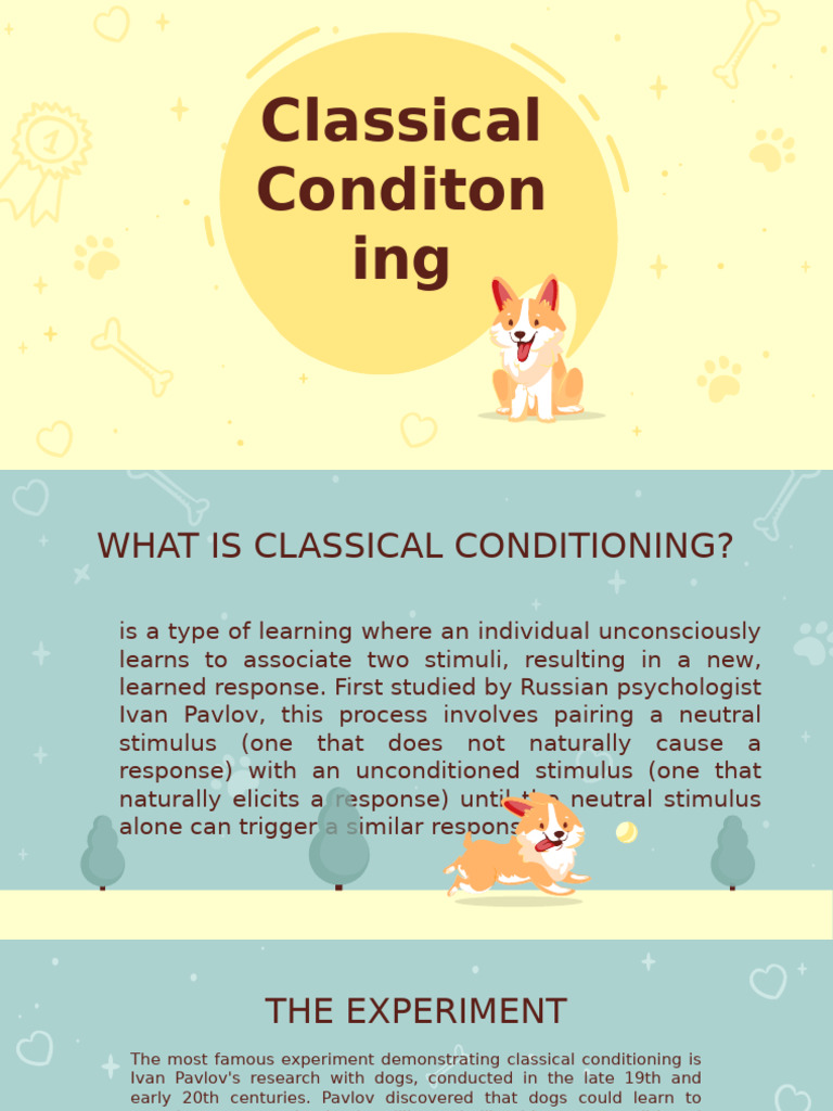 Pavlov Theory | PDF | Classical Conditioning | Psychological Schools