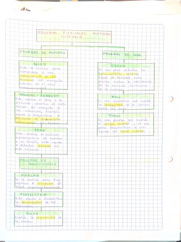 Mapa Conceptual Pdf