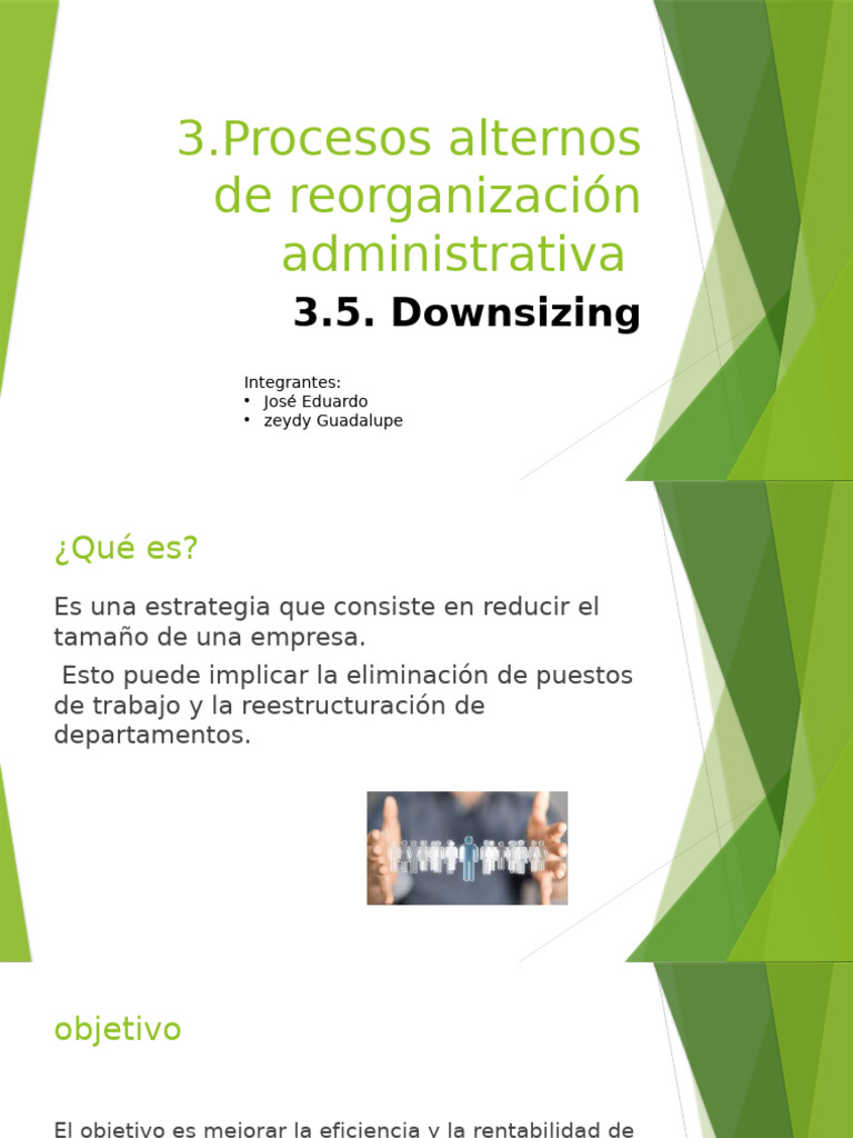 Downsizing | PDF
