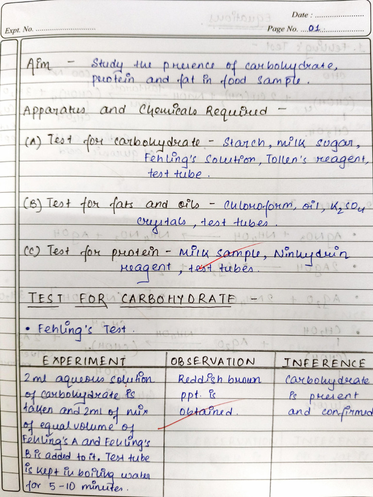 Chemistry Practical Record | PDF