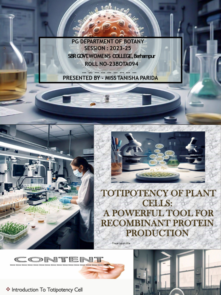 Totipotency Cell a Powerful Tool for RPP | PDF | Cell Potency ...