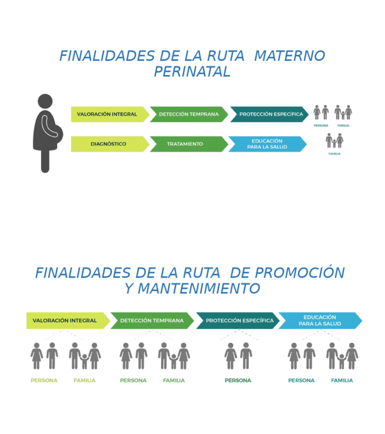 Finalidades de La Ruta Materno Perinatal | PDF