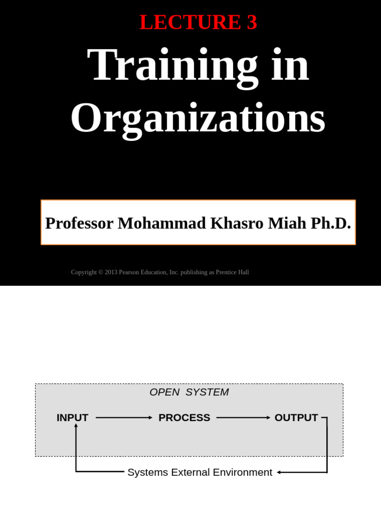 Training in Organizations | PDF | Leadership | Mentorship