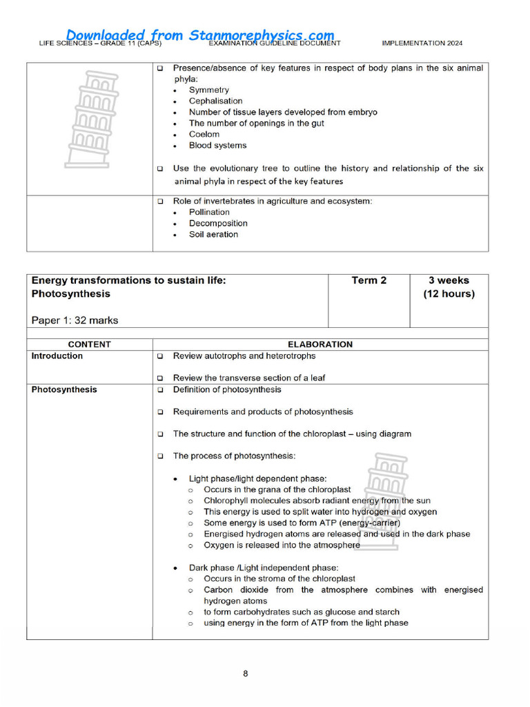 Extract File 20241117 144354 | PDF | Breathing | Cellular Respiration