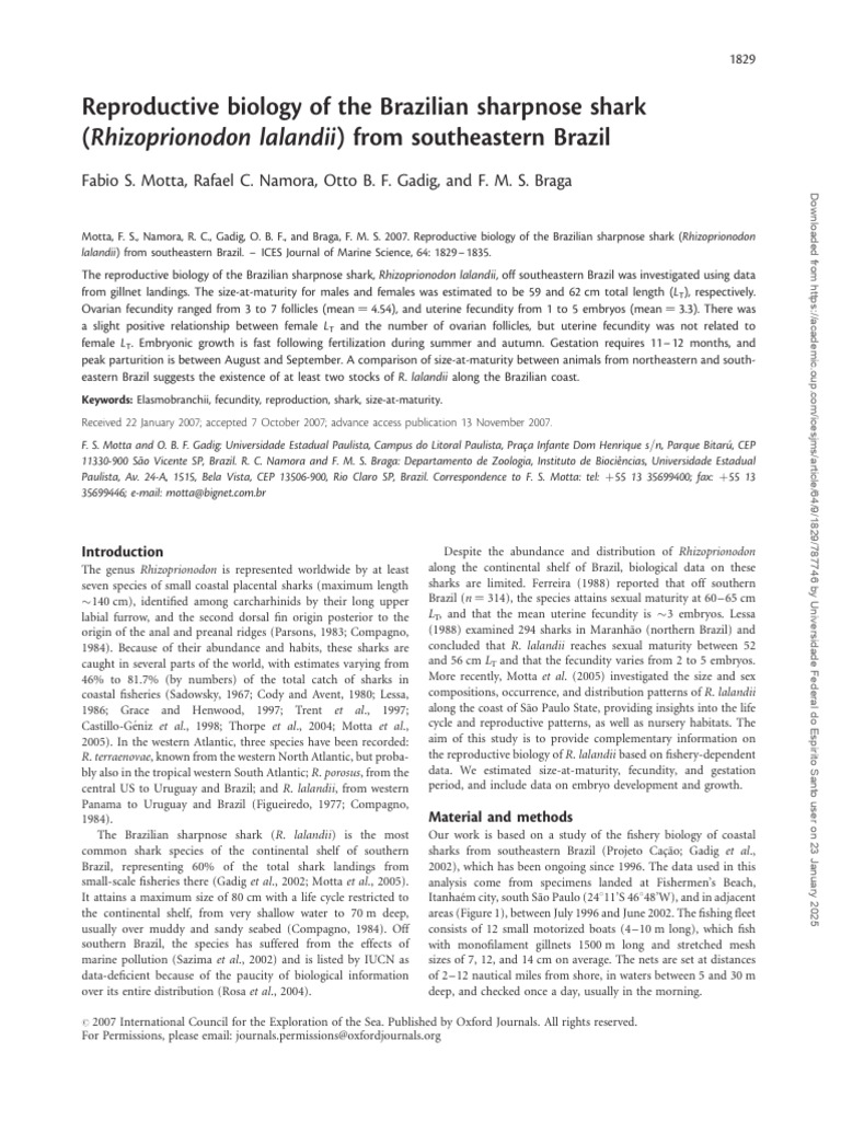 Reproductive Biology of The Brazilian Sharpnose Shark | PDF | Ovary ...