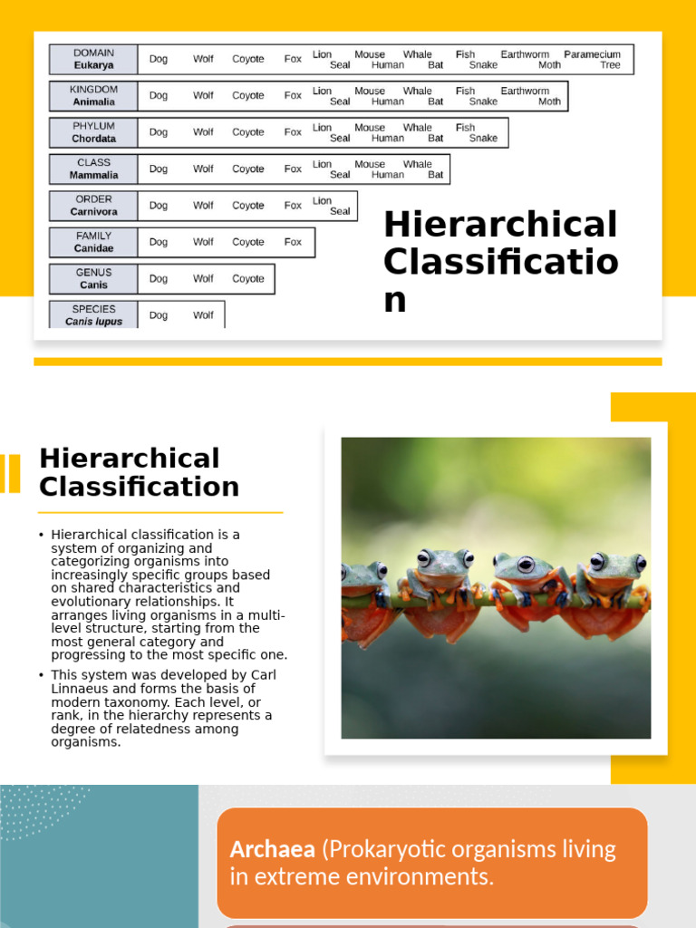 DAY7 Hierarchical-Classification EX | PDF | Zoology | Organisms