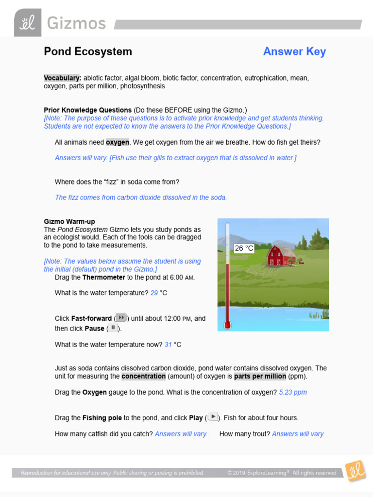 Pond Ecosystem Study Guide and Activities | PDF | Pond | Eutrophication