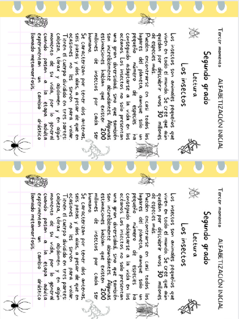 Lectura Tercer Periodo Segundo Grado | PDF