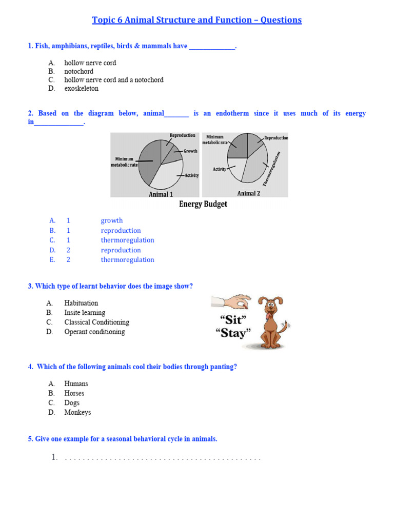 Animal Structure and Function Overview | PDF