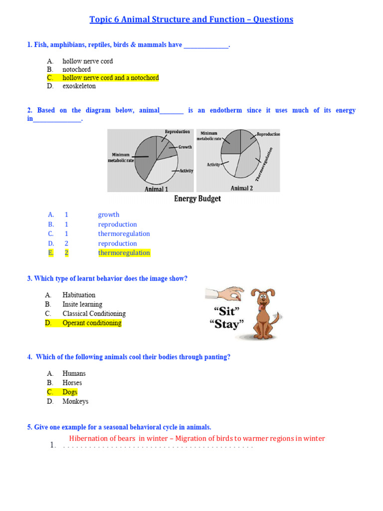 Topic 6 Animal Structure and Function - ANSWERS | PDF