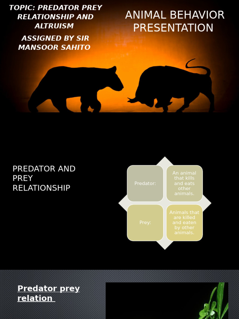 Animal Behavior Presentation | PDF