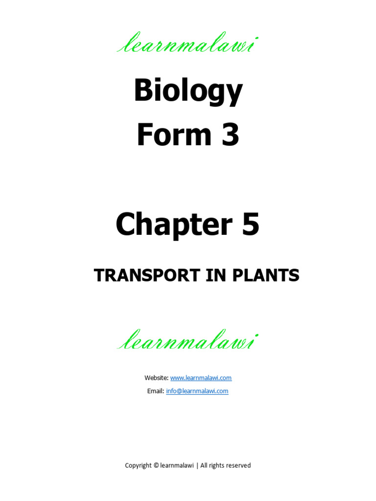 Biology: Plant Transport Systems | PDF | Plant Stem | Tissue (Biology)