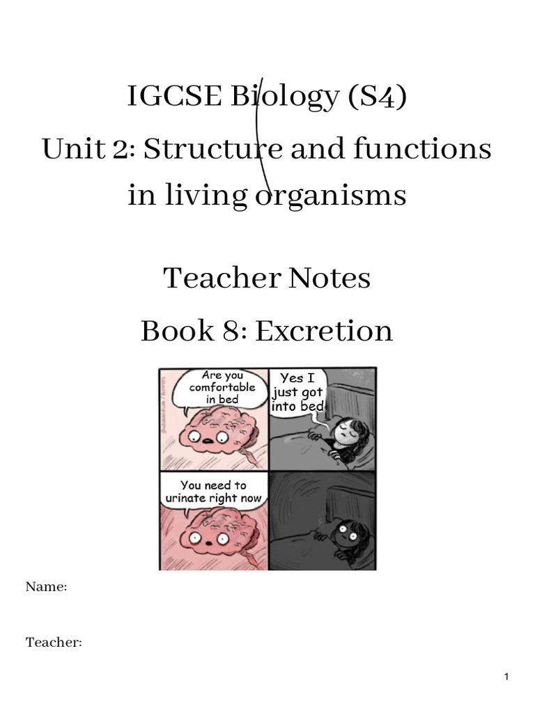 IGCSE Biology: Excretion Basics | PDF | Kidney