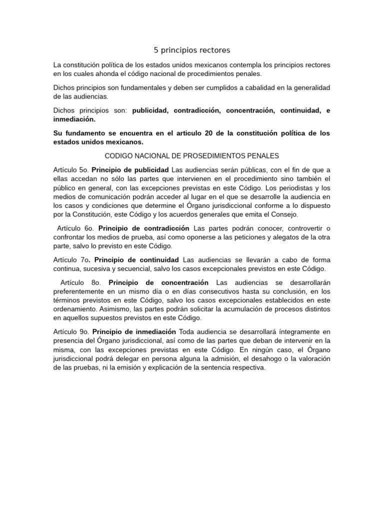 5 Principios Rectores | PDF