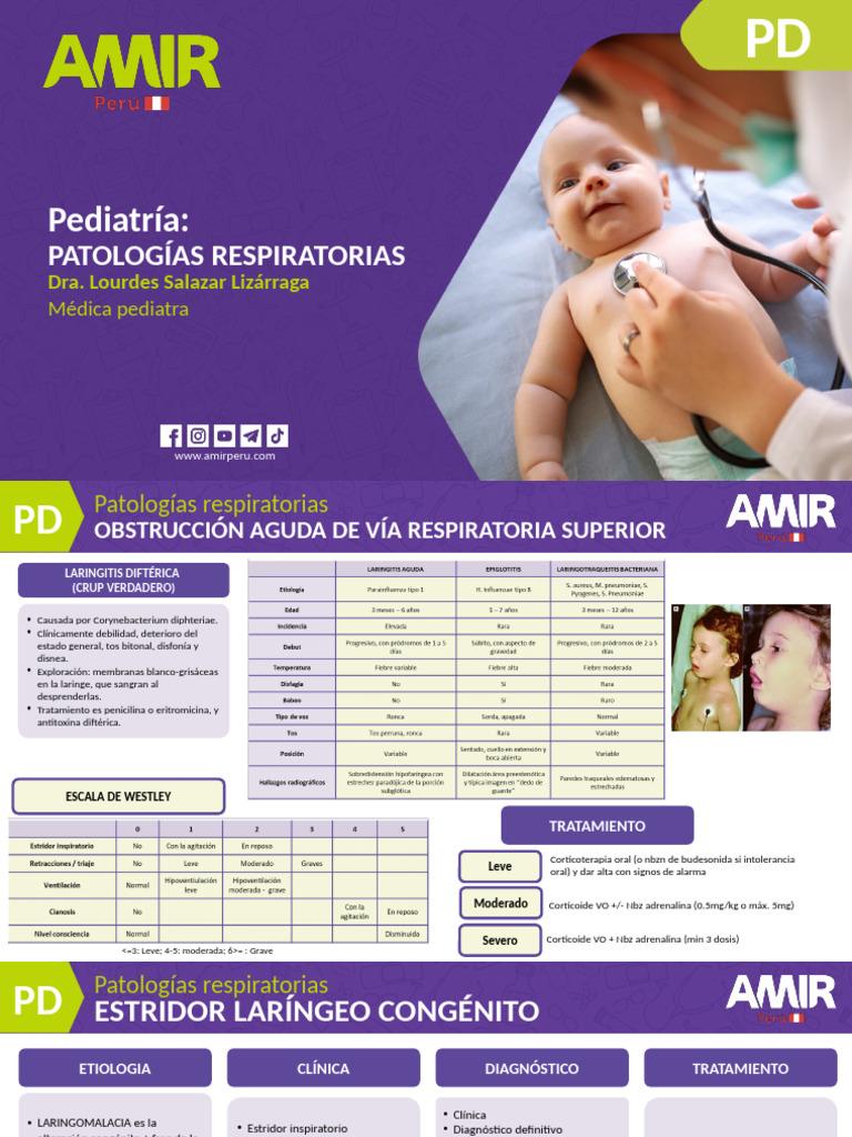 PD 16 Patologías Respiratorias | PDF | Neumonía | Enfermedades respiratorias