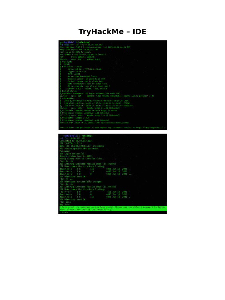 TryHackMe - IDE | PDF