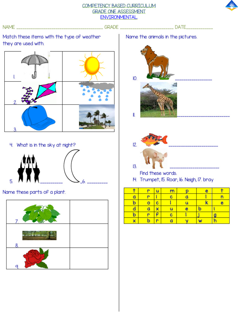 Grade 1 Environmental | PDF