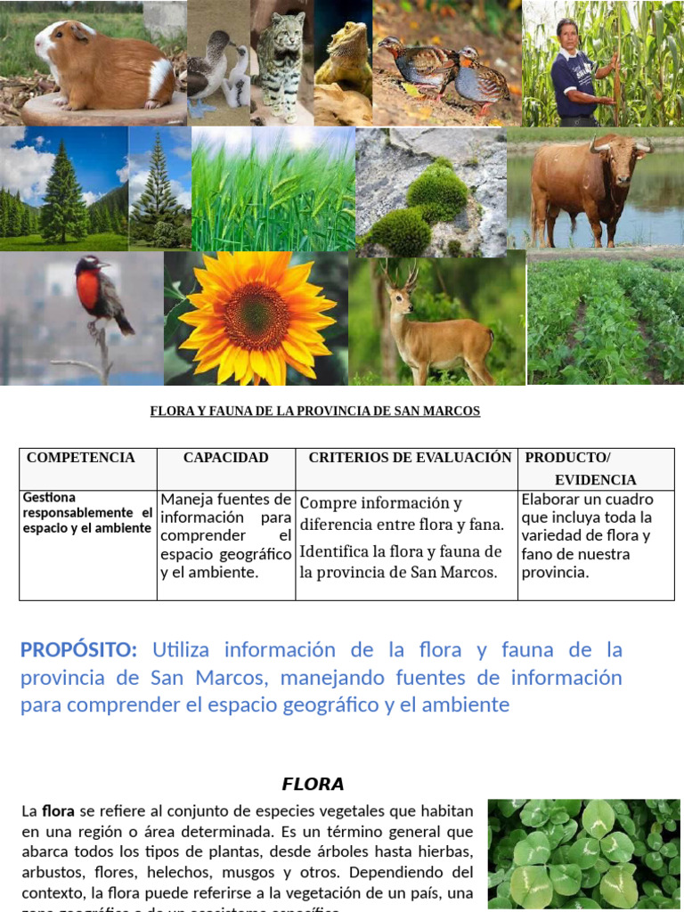 Flora y Fauna de San Marcos | PDF | Fauna | Domesticación