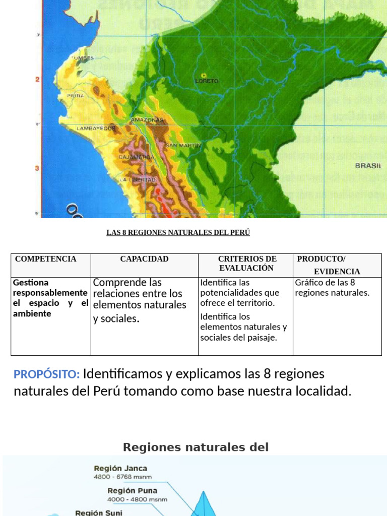 Mapa de las 8 Regiones Naturales del Perú | PDF | Andes | Perú