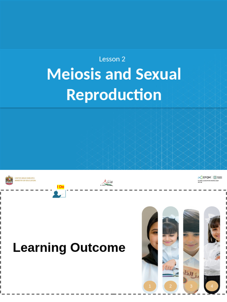 Understanding Meiosis and Genetic Variation | PDF | Meiosis | Ploidy