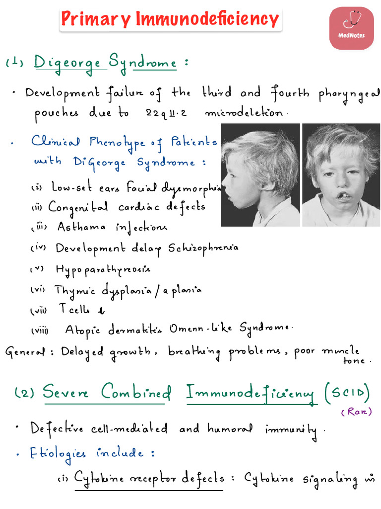 Primary Immunodeficiency | PDF | Antibody | Immunodeficiency