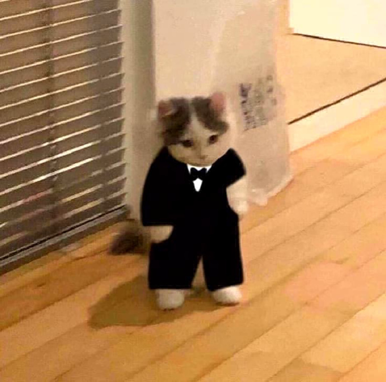 chico.lchowski.psl | PDF