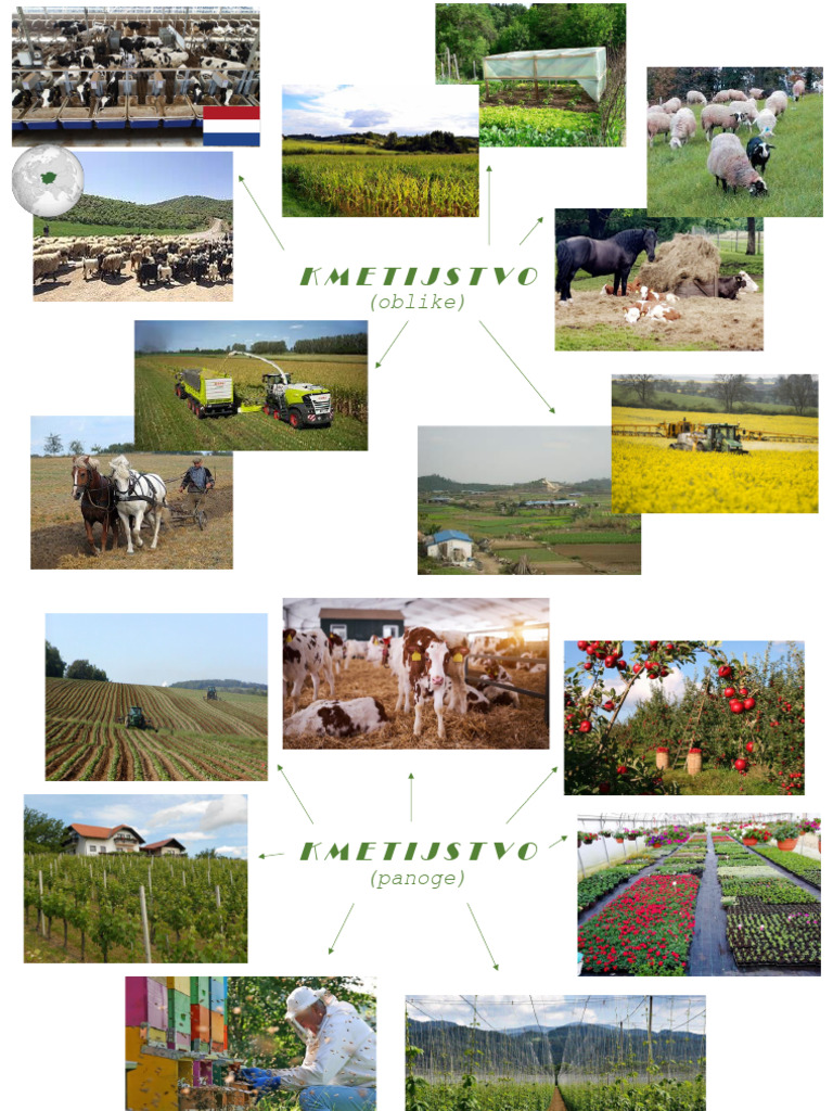 Kmetijstvo SLIKE | PDF