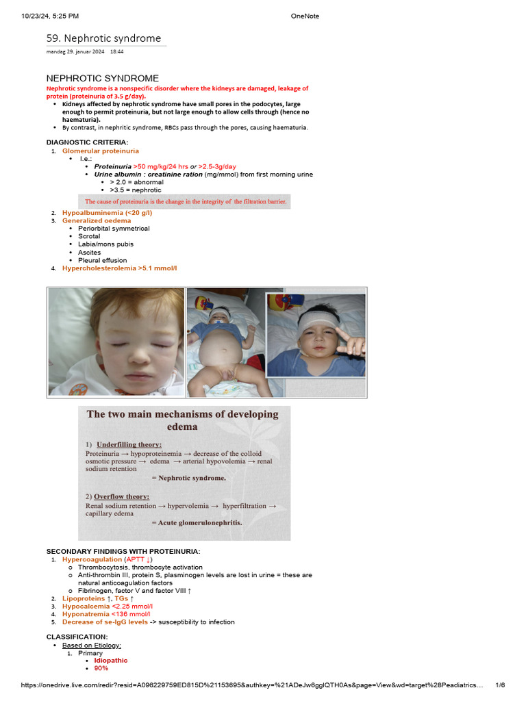 Understanding Nephrotic Syndrome Basics | PDF | Human Diseases And ...