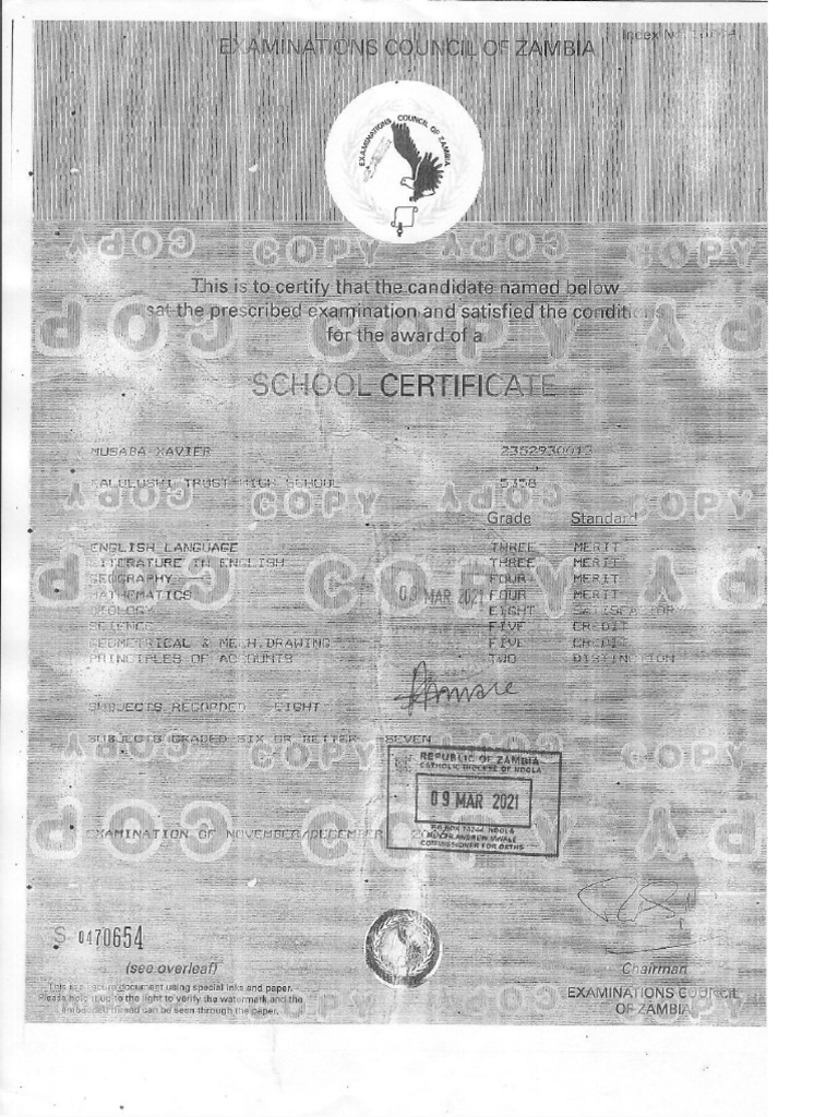 Xavier File PDF | PDF