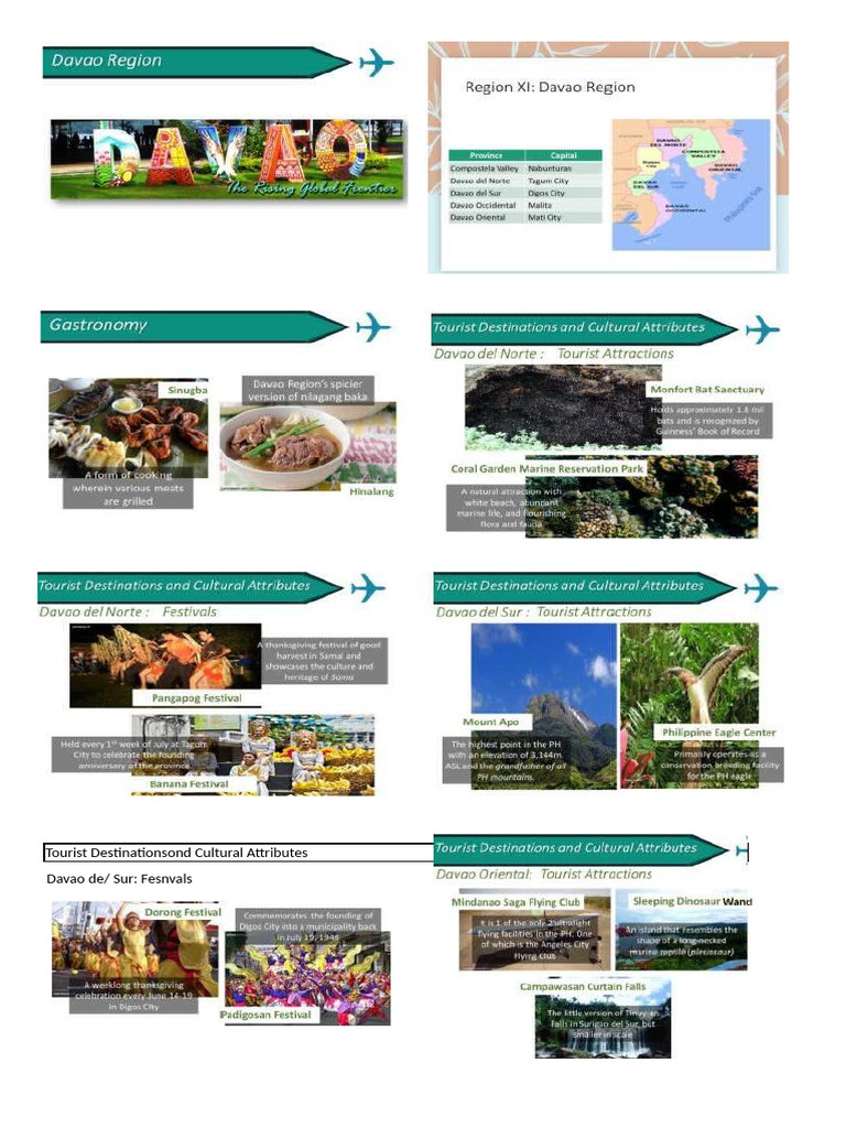 Region XI | PDF