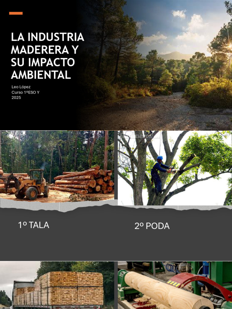 La Industria Maderera Y Su Impacto Ambiental: Leo López Curso 1ºESO Y 2025 | PDF