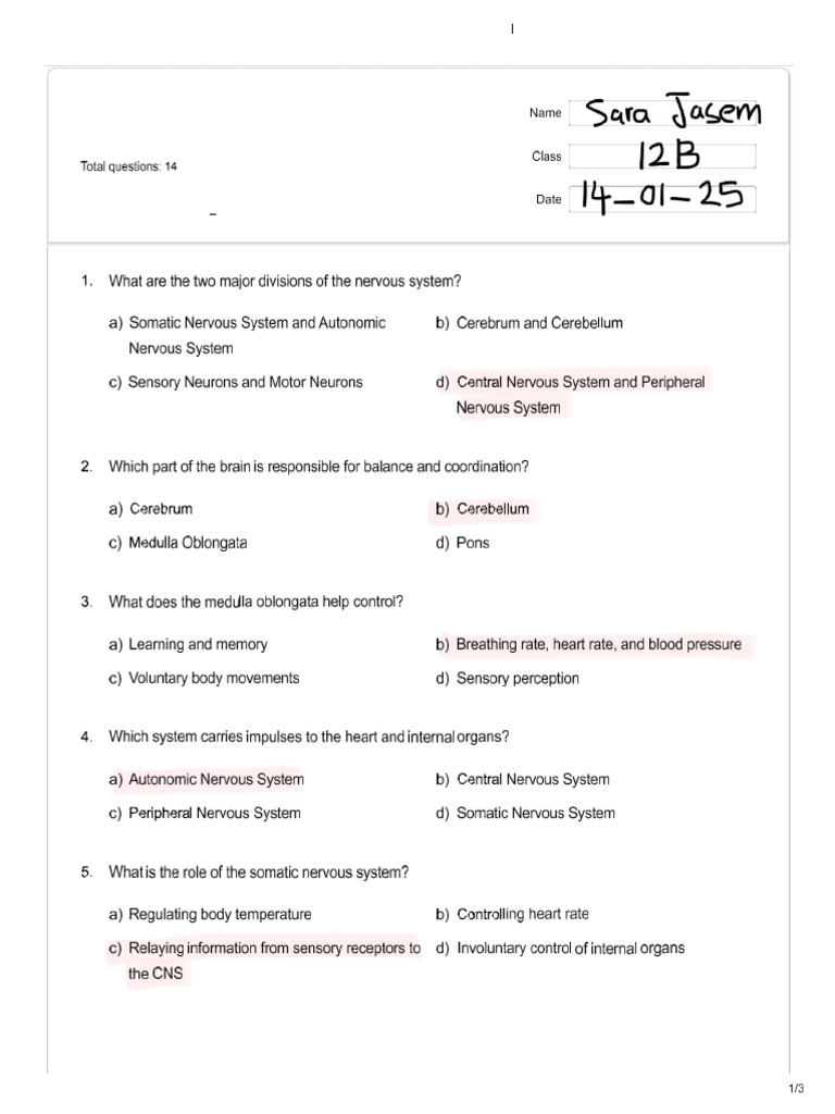 Nervous System-Worksheets | PDF