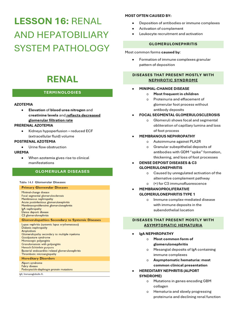 L16 Renal and Hepatobiliary | PDF | Diseases And Disorders | Kidney