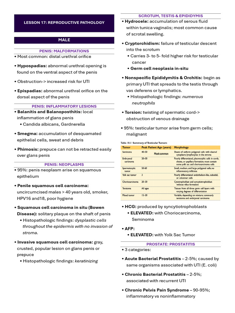 L17-REPRODUCTIVE | PDF | Ovary | Sexually Transmitted Infection