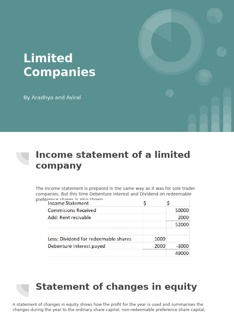 Income & Equity Statements for Ltd Companies | PDF