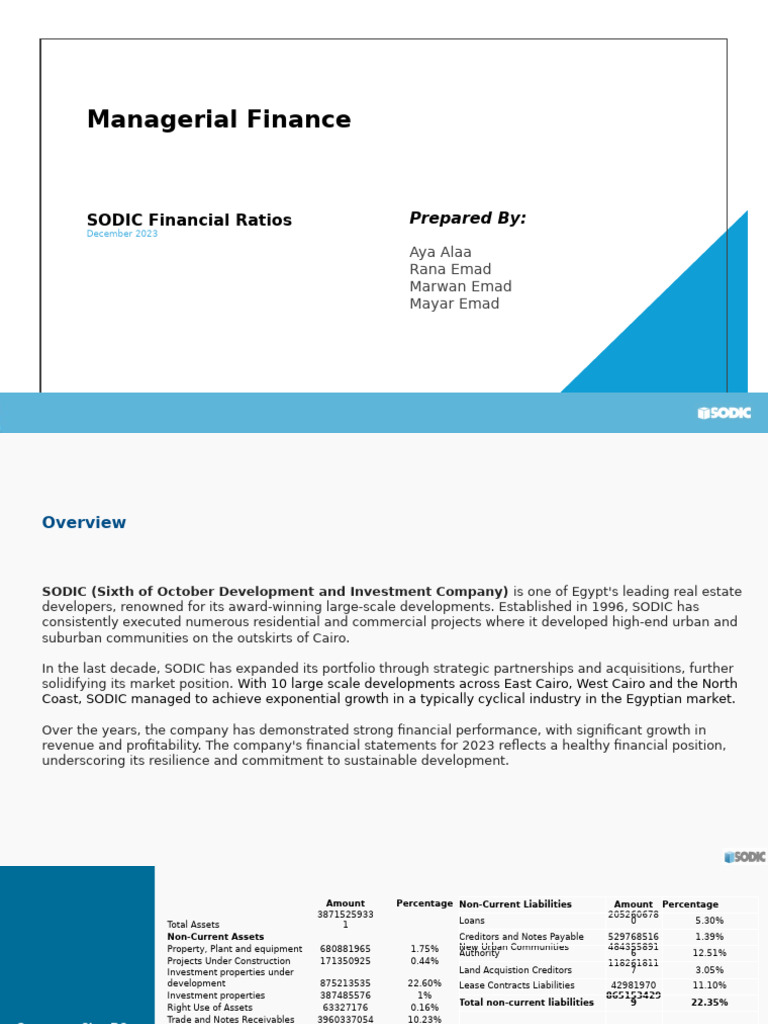 SODIC 2023 Financial Ratios Analysis | PDF | Debits And Credits ...