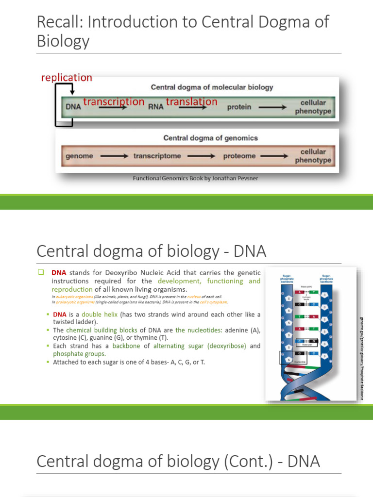 FE_BME_400_BI_Week 02_Lec | PDF | Dna Replication | Dna