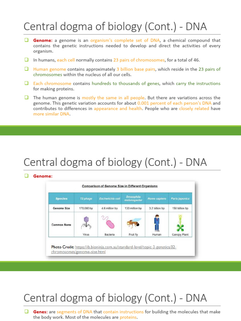 FE - BME - 400 - BI - Week 03lec | PDF | Rna | Dna