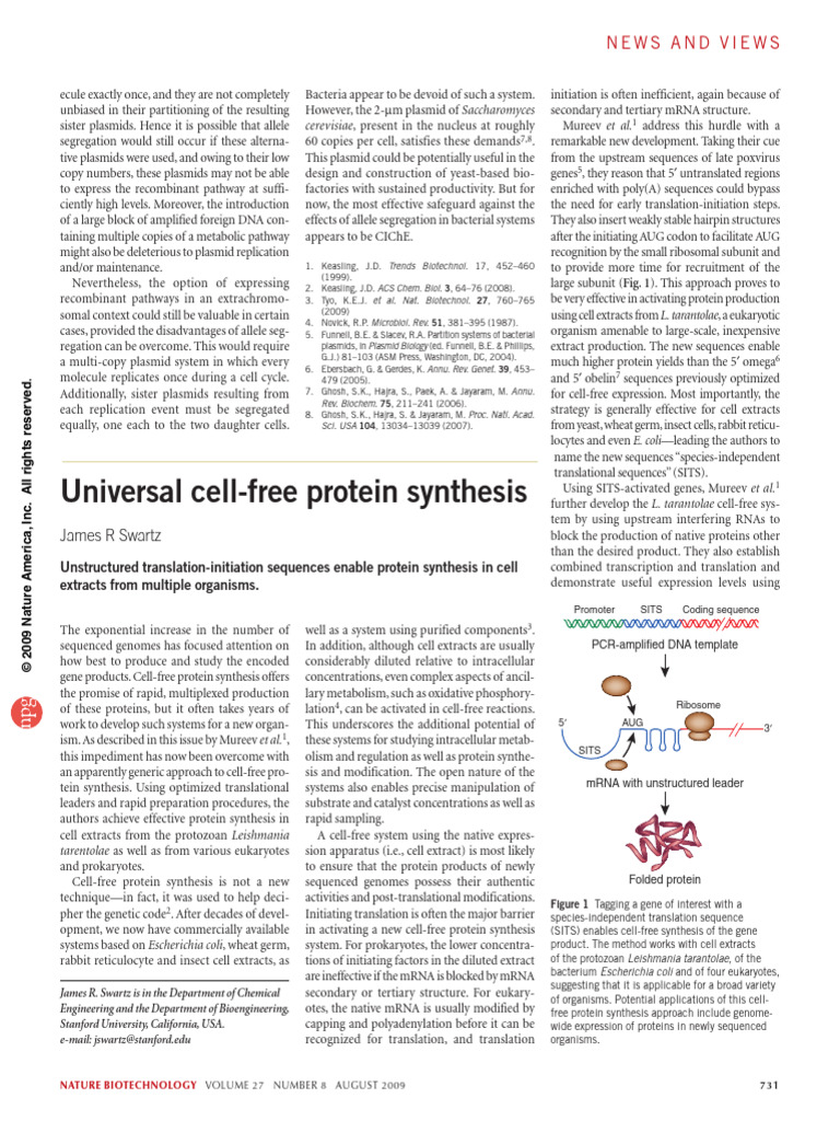 Universal cell-free protein synthesis | PDF | Translation (Biology ...