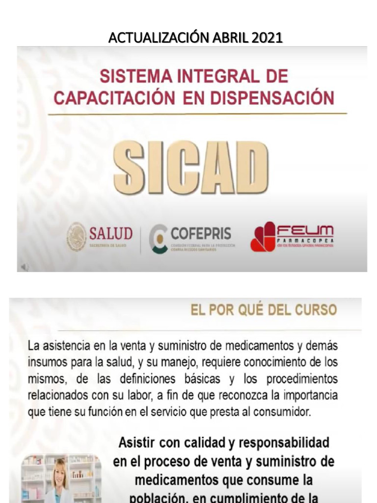 Sicad 2022 | PDF