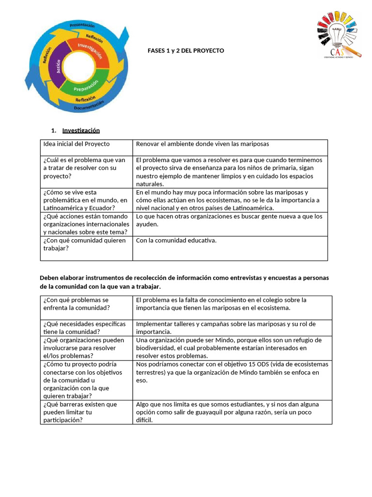 Fase 1 y 2 Del Proyecto CAS | PDF