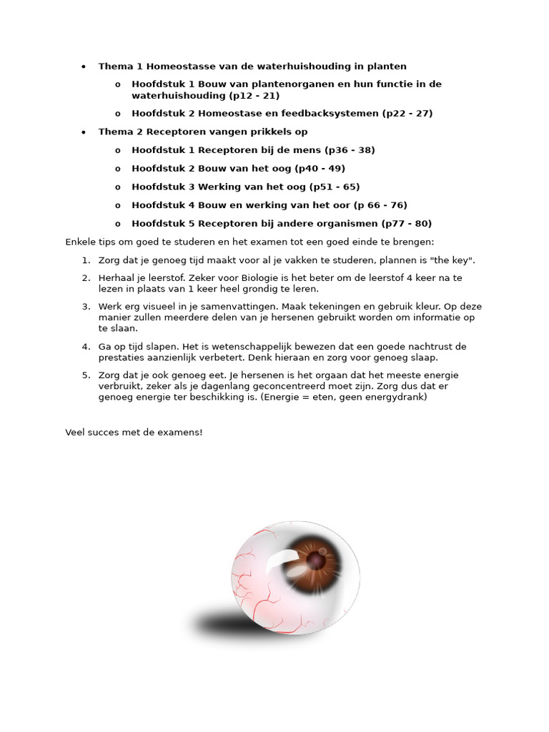 leerstofoverzicht kerst | PDF