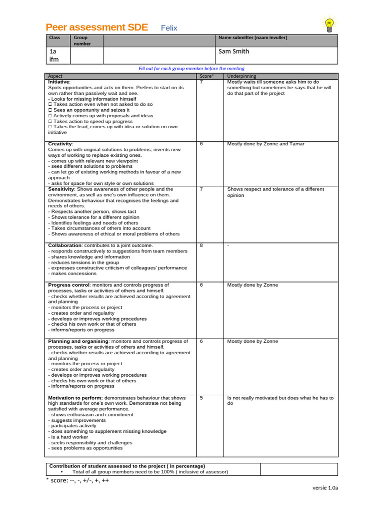 Peer Assessment SDE Form Felix | PDF | Psychological Concepts ...
