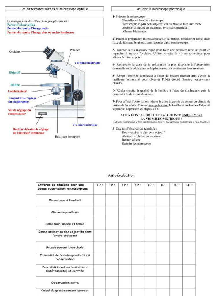 04bis) +Fiches+Microscope+Optique+++Dessin+d'observation 2 | PDF