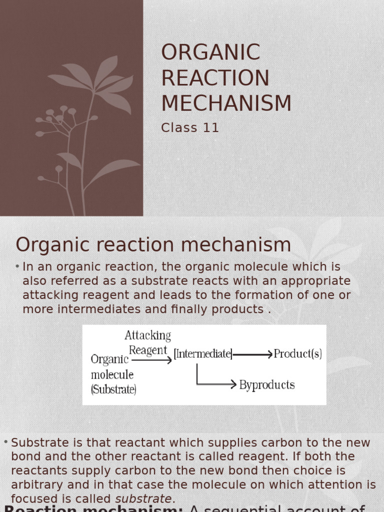 vdocuments.mx_organic-reaction-mechanism-ncert-class-11 | PDF ...