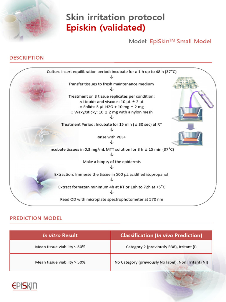 Episkin validated skin irritation protocol | PDF